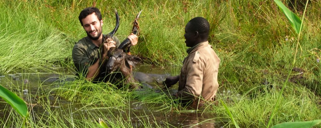 Chasse au Cameroun en forêt équatoriale : Vivez l'aventure